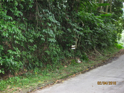 Dominica real estate, land/lots for sale in Copthall, Dominica