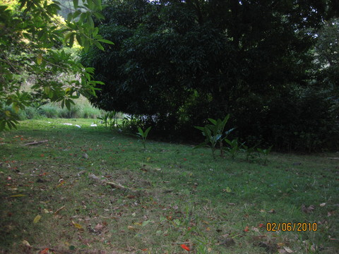 Dominica real estate, land/lots for sale in Copthall, Dominica