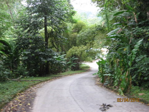 Dominica real estate, land/lots for sale in Copthall, Dominica